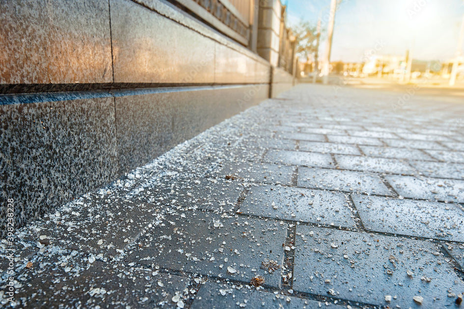 Transforming Your Winter Maintenance Routine: Say Goodbye to Salt ...
